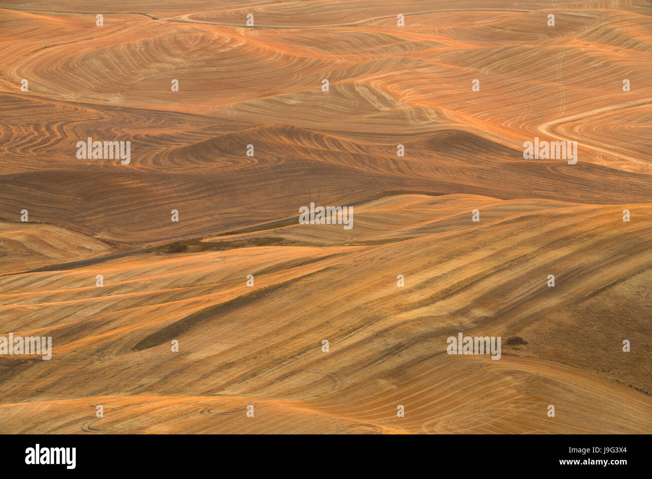 Golden patterns after the harvest of wheat fields in the Palouse ...