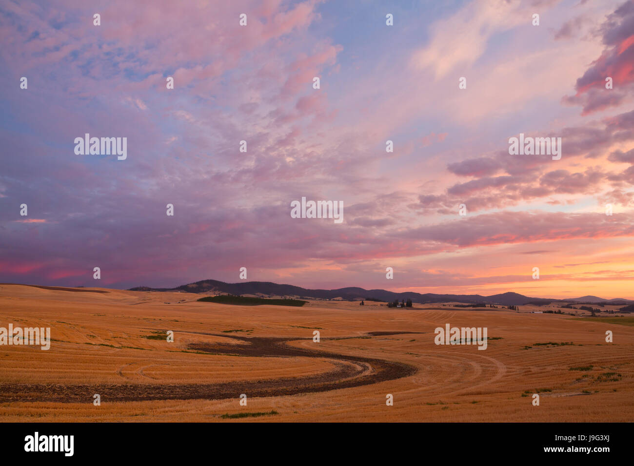 Overhead patterns hi-res stock photography and images - Alamy