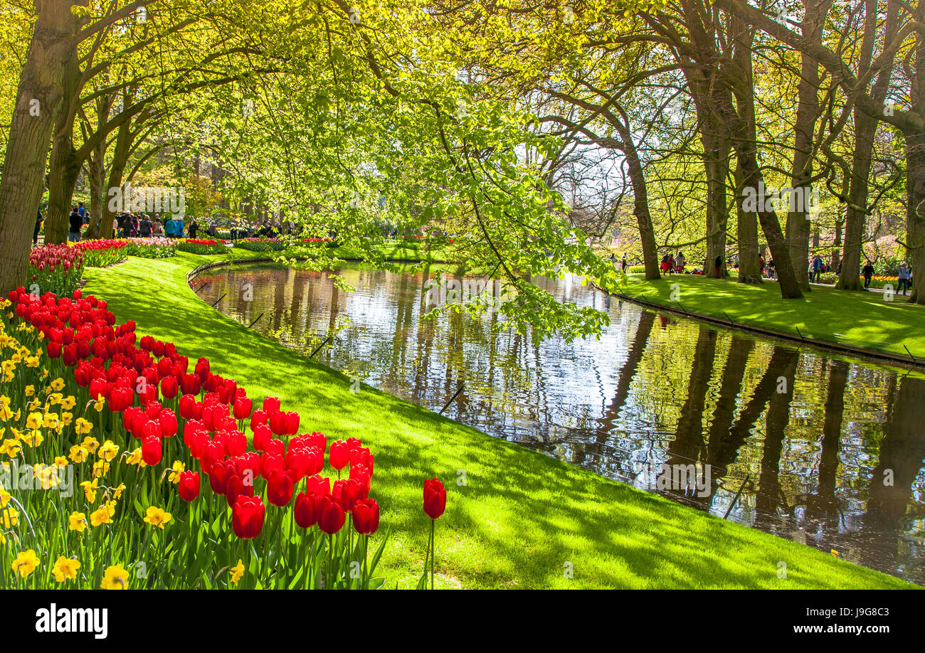 Keukemhof Romantic Blooming Gardens Landscape Lisse Holland Stock Photo ...