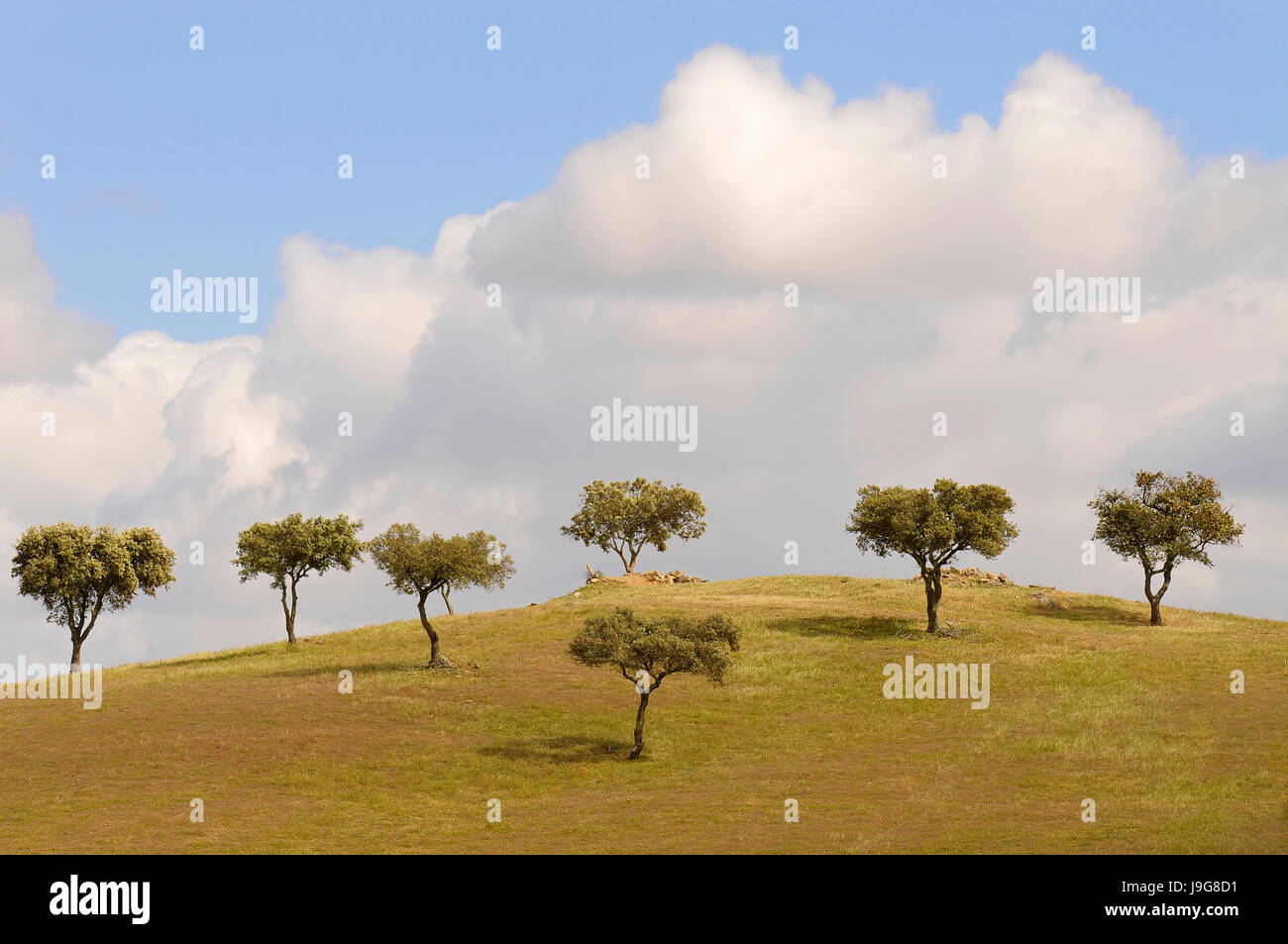 blue, beautiful, beauteously, nice, environment, enviroment, colour ...