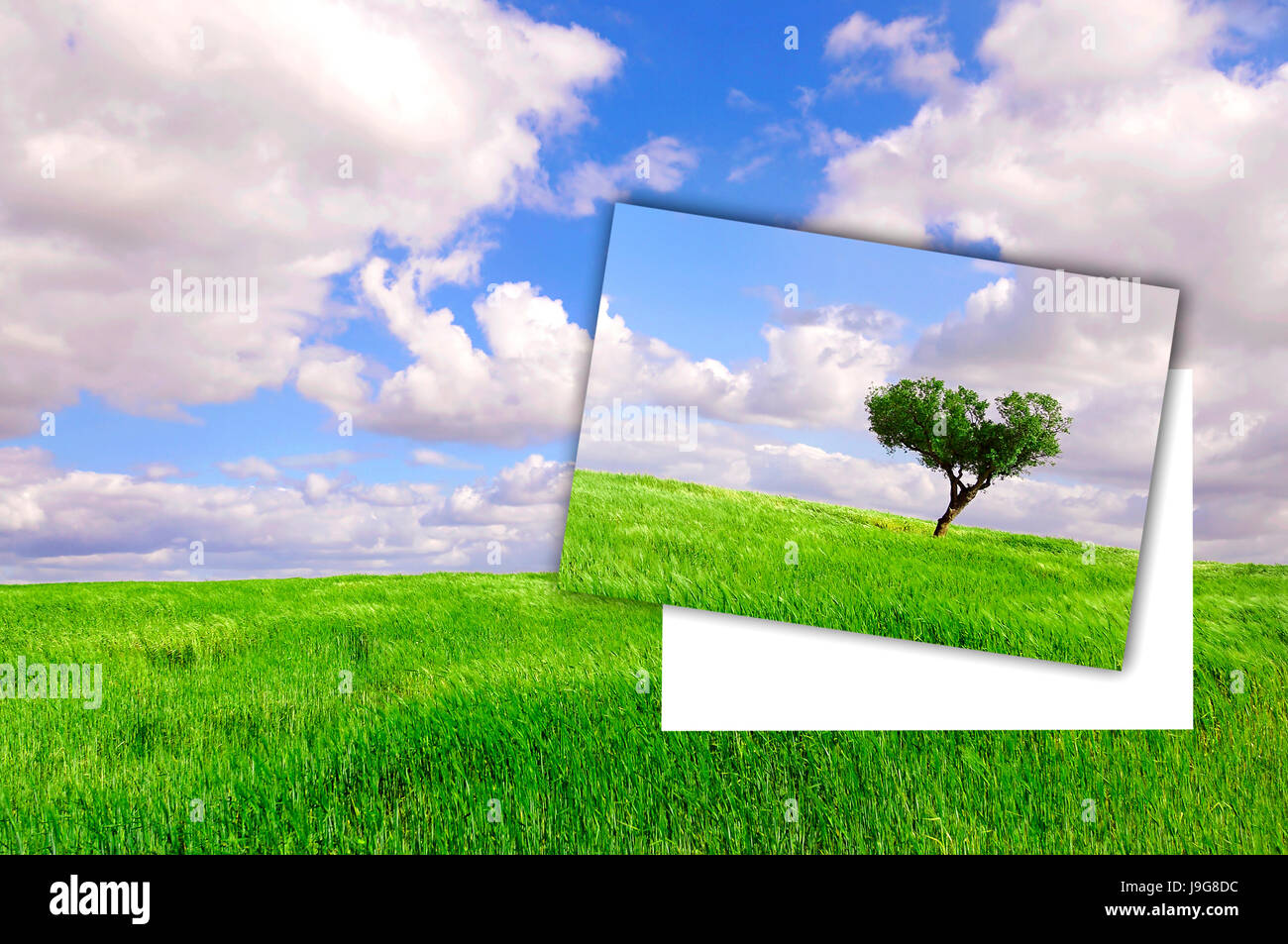 blue, beautiful, beauteously, nice, environment, enviroment, colour ...