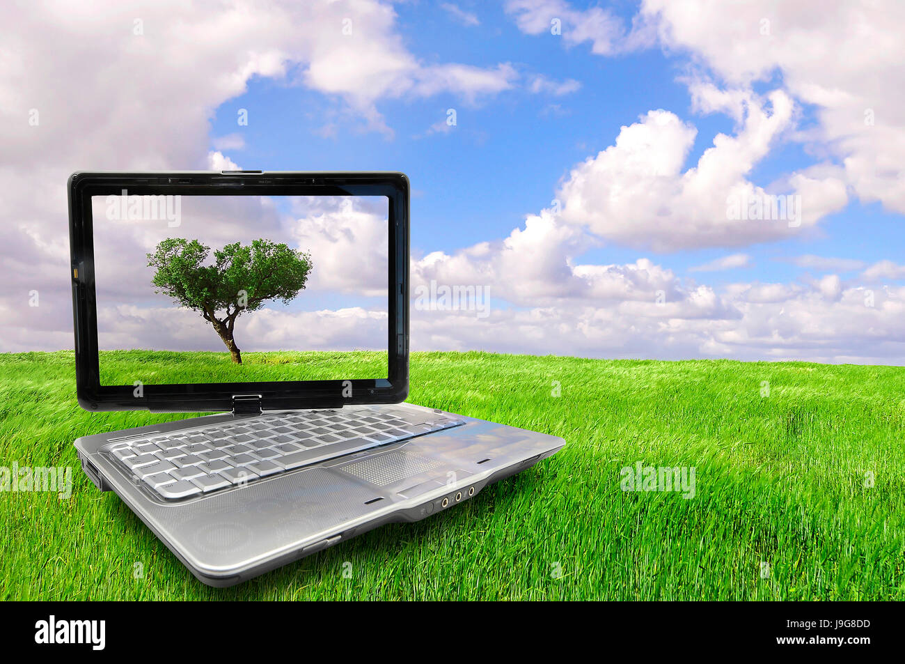 blue, laptop, notebook, computers, computer, beautiful, beauteously ...