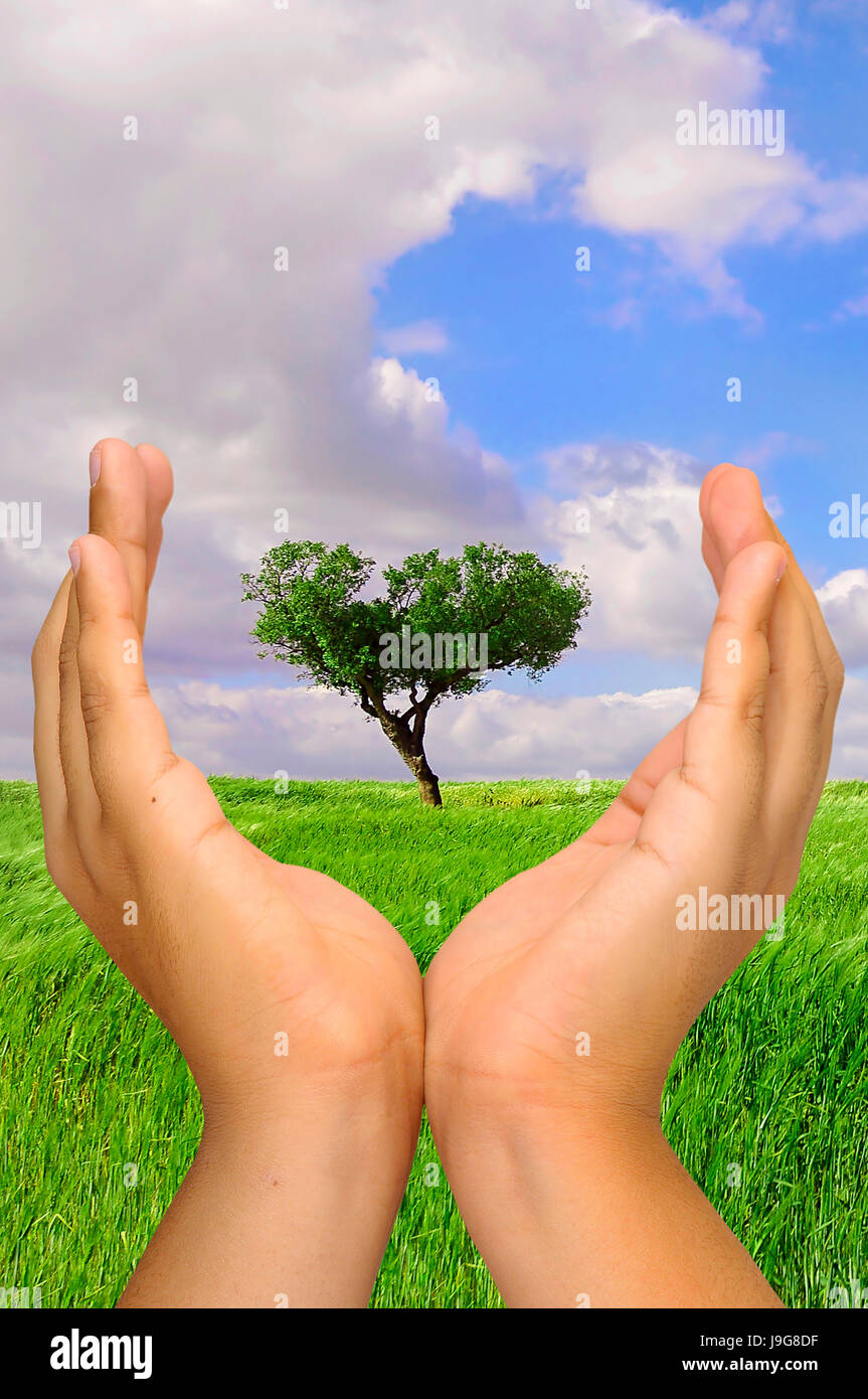 blue, beautiful, beauteously, nice, environment, enviroment, colour ...