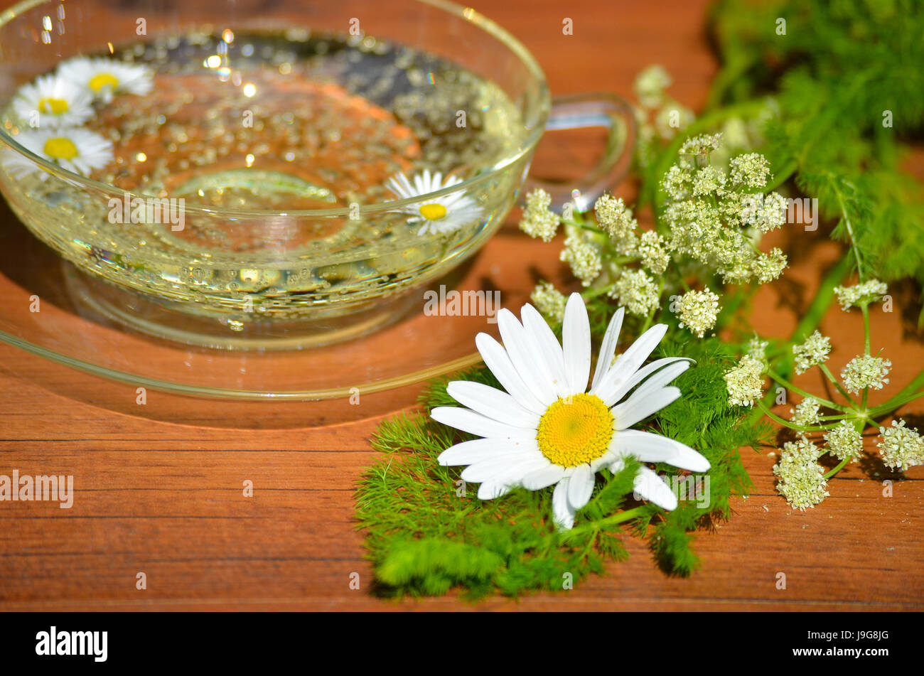 herbal tea relax Stock Photo - Alamy