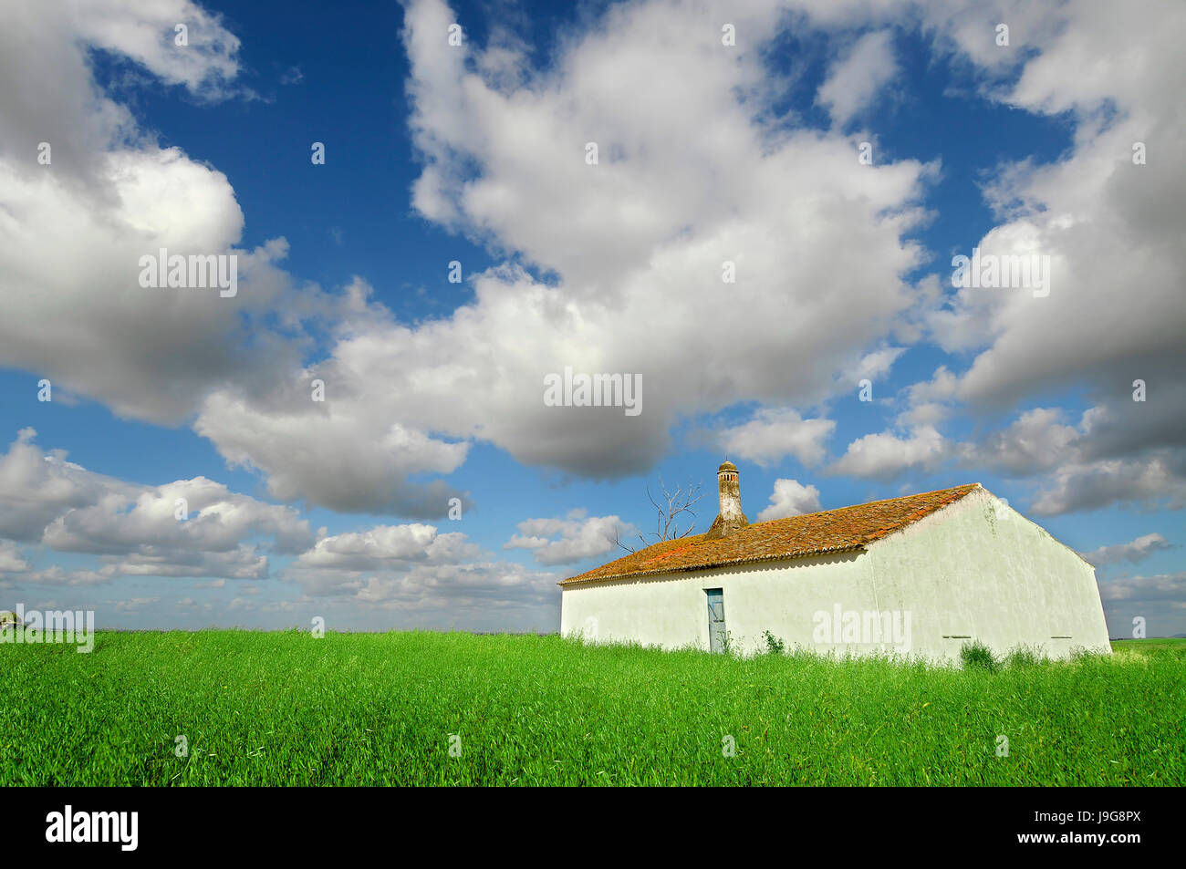blue, house, building, beautiful, beauteously, nice, environment ...