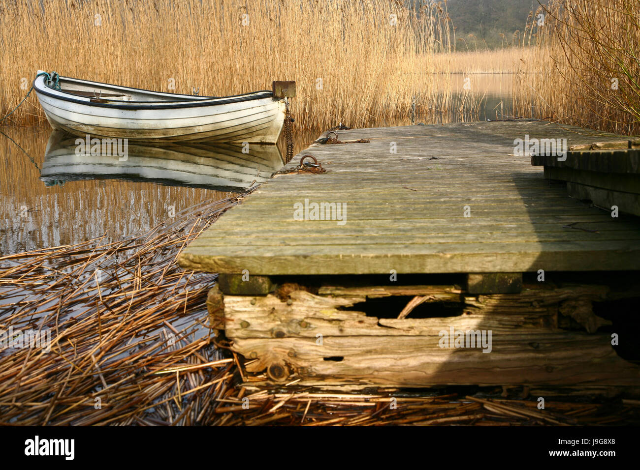 View on a beautiful lake landscape in scandinavia in denmark Stock ...