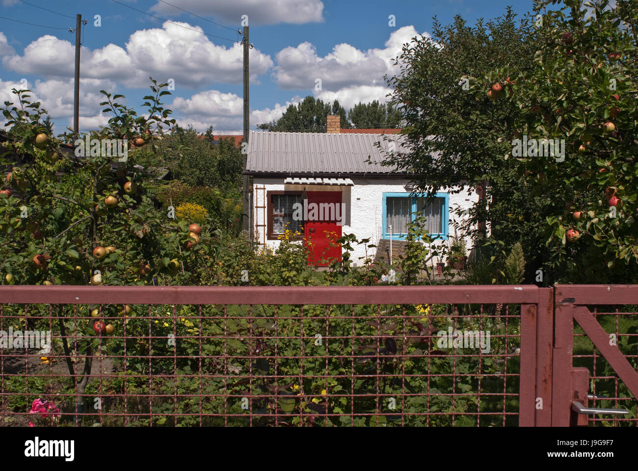 Allotment garden in Berlin. Often called Schrebergarten (German) or ...