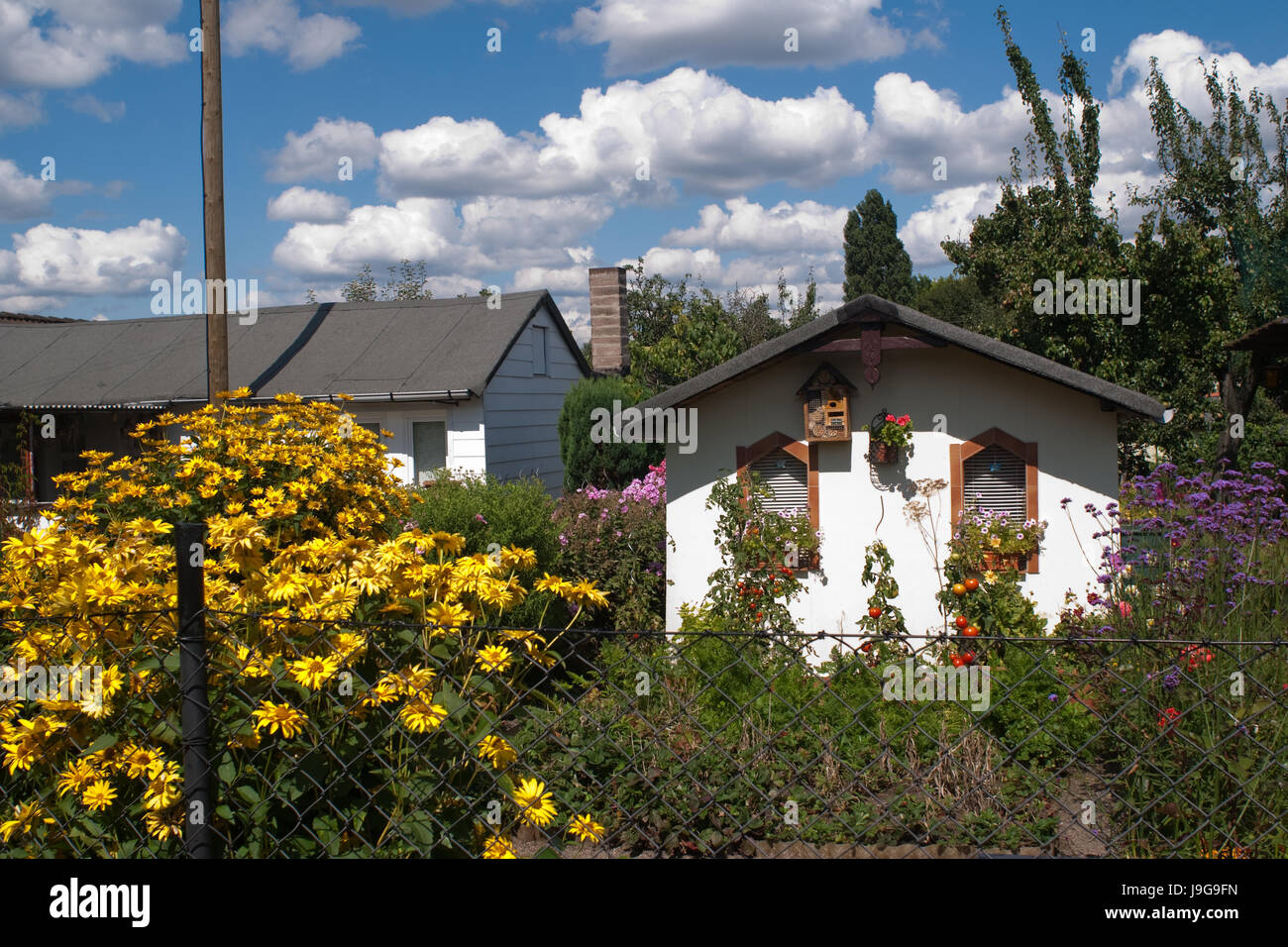Allotment garden in Berlin. Often called Schrebergarten (German) or ...