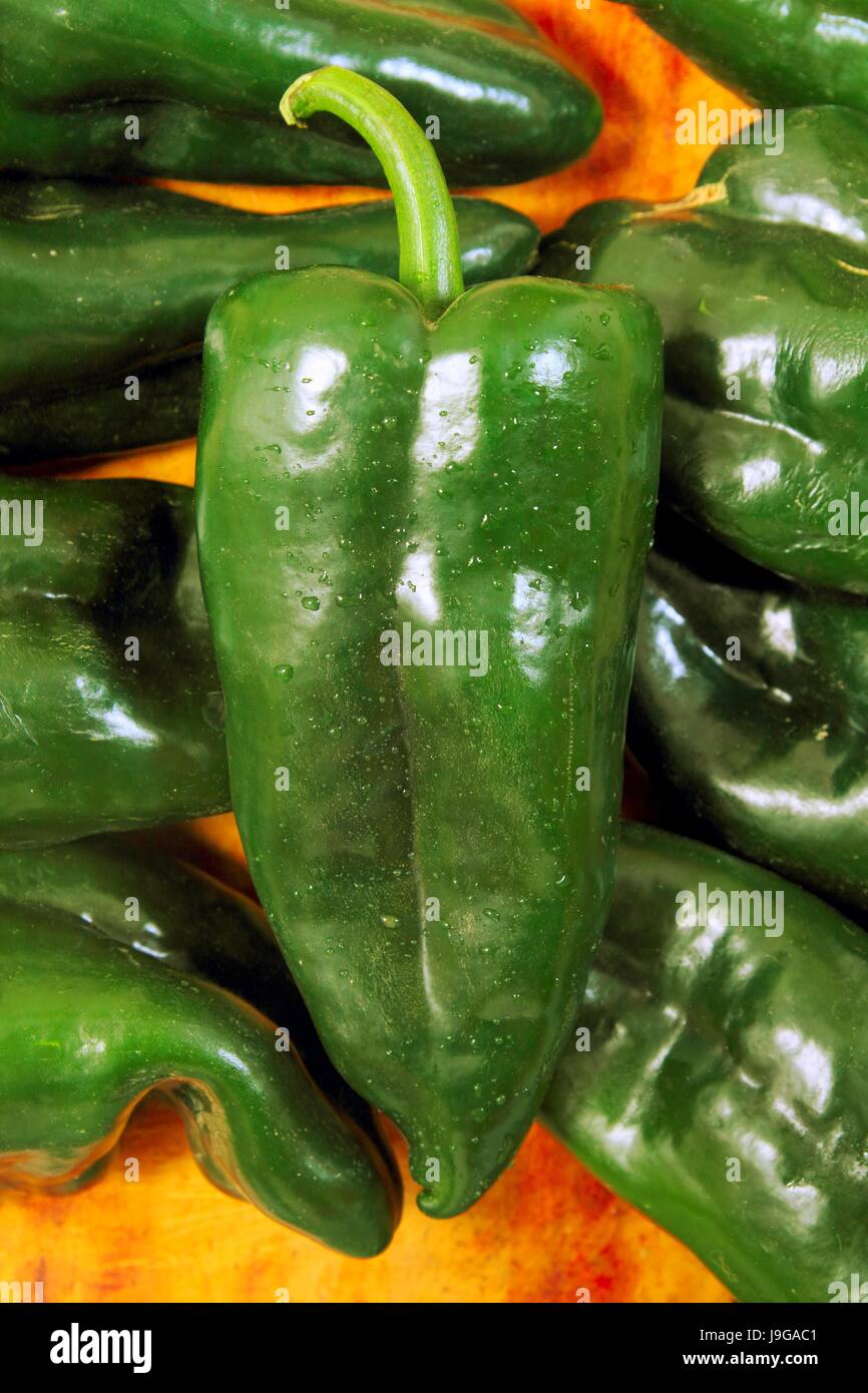 food, aliment, pepper, health, spice, condiment, colour, garden ...