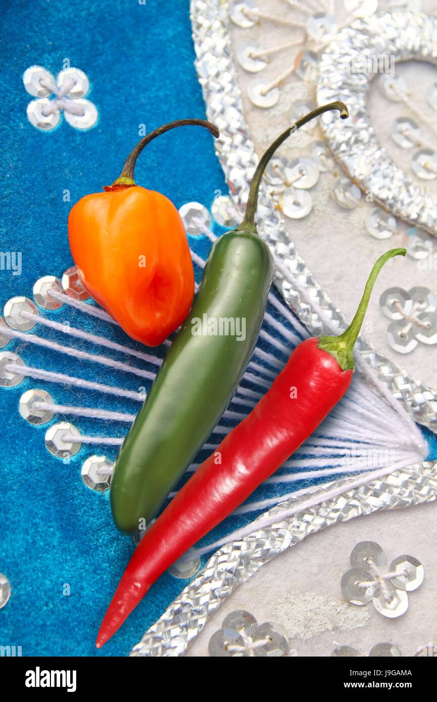 blue, pepper, craftsman, tradesman, handicraftsman, macro, close-up ...