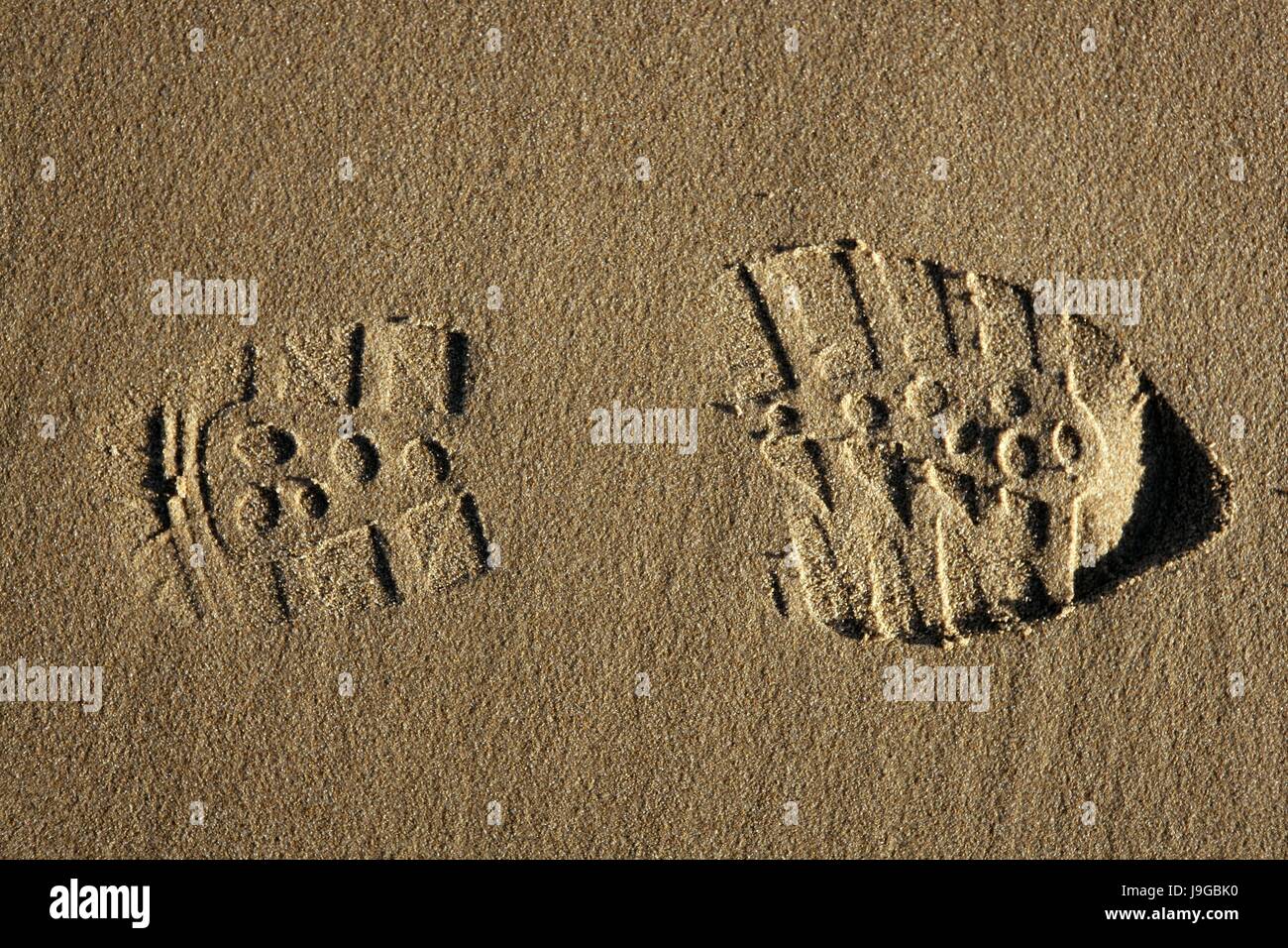 boot, humans, human beings, people, folk, persons, human, human being ...