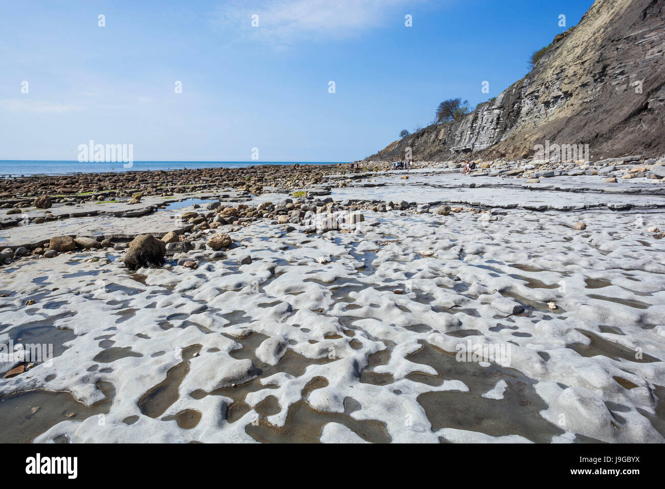 England, Dorset, Lyme Regis, Jurassic Coast, Rocks with Ammonite ...