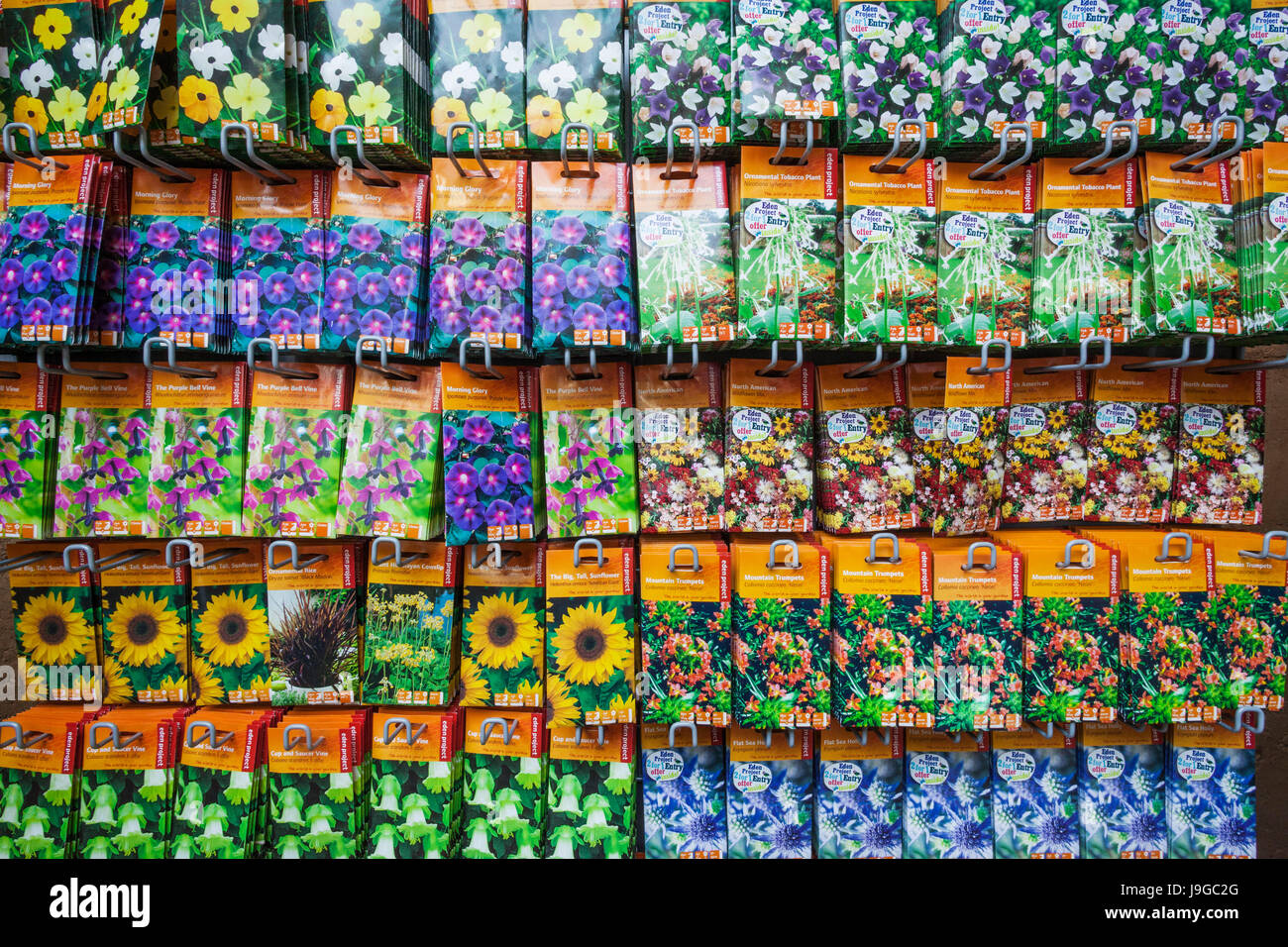 Eden project cornwall vegetables hi-res stock photography and images ...