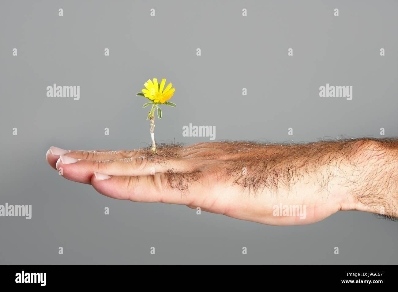 close, humans, human beings, people, folk, persons, human, human being ...