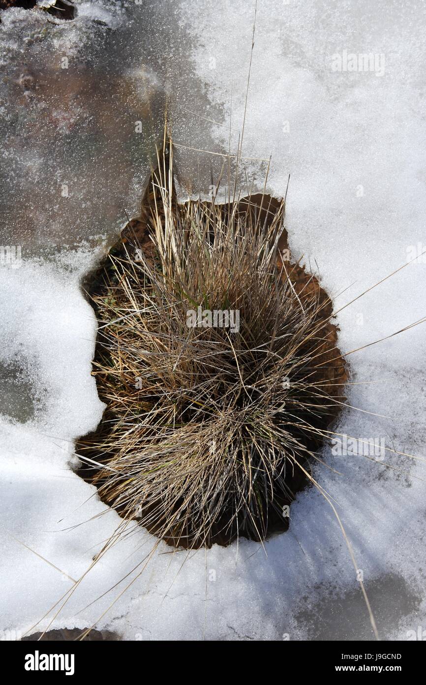 travel, winter, ground, soil, earth, humus, brown, brownish, brunette ...