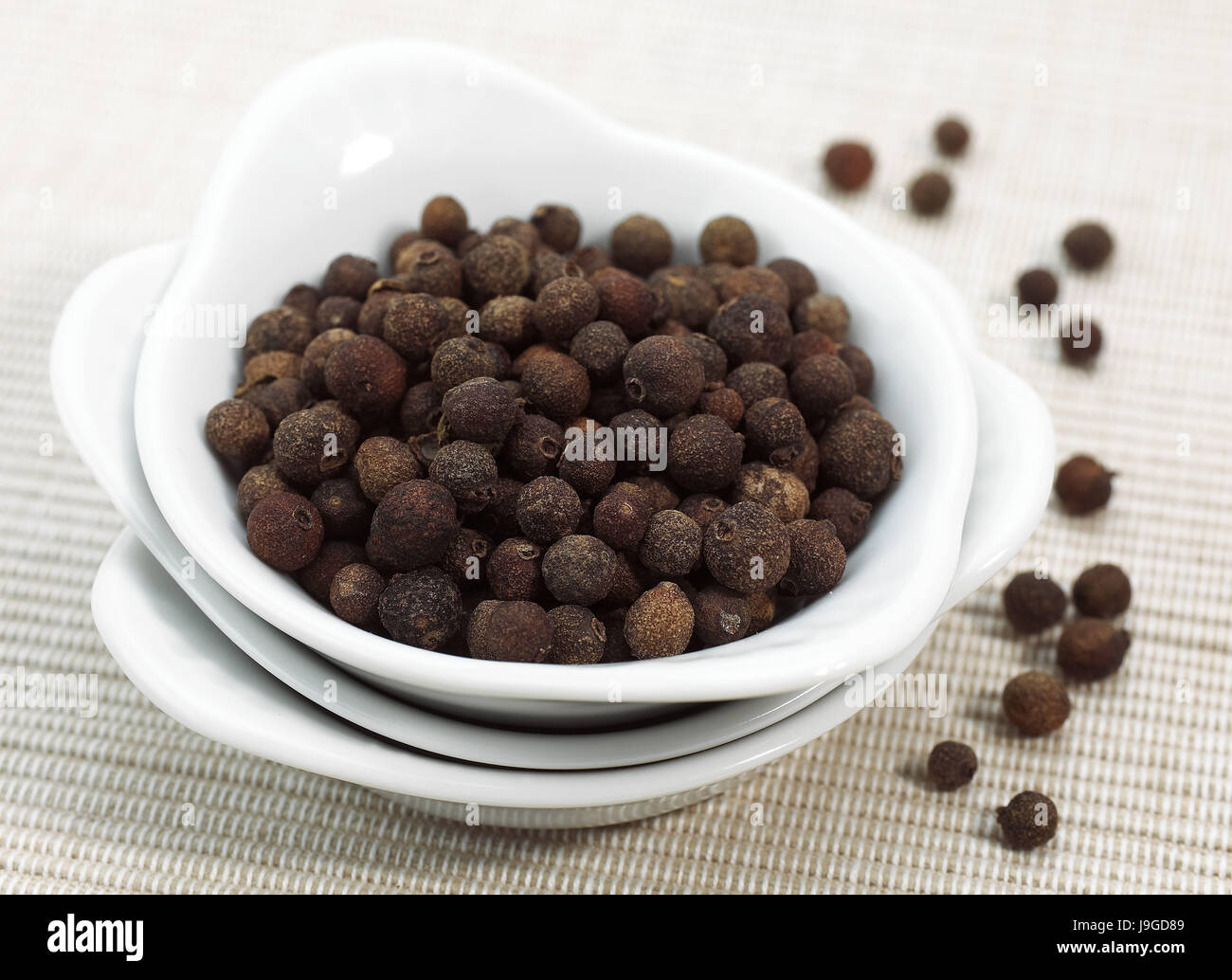 Jamaica Pepper, peper nigrum Stock Photo - Alamy