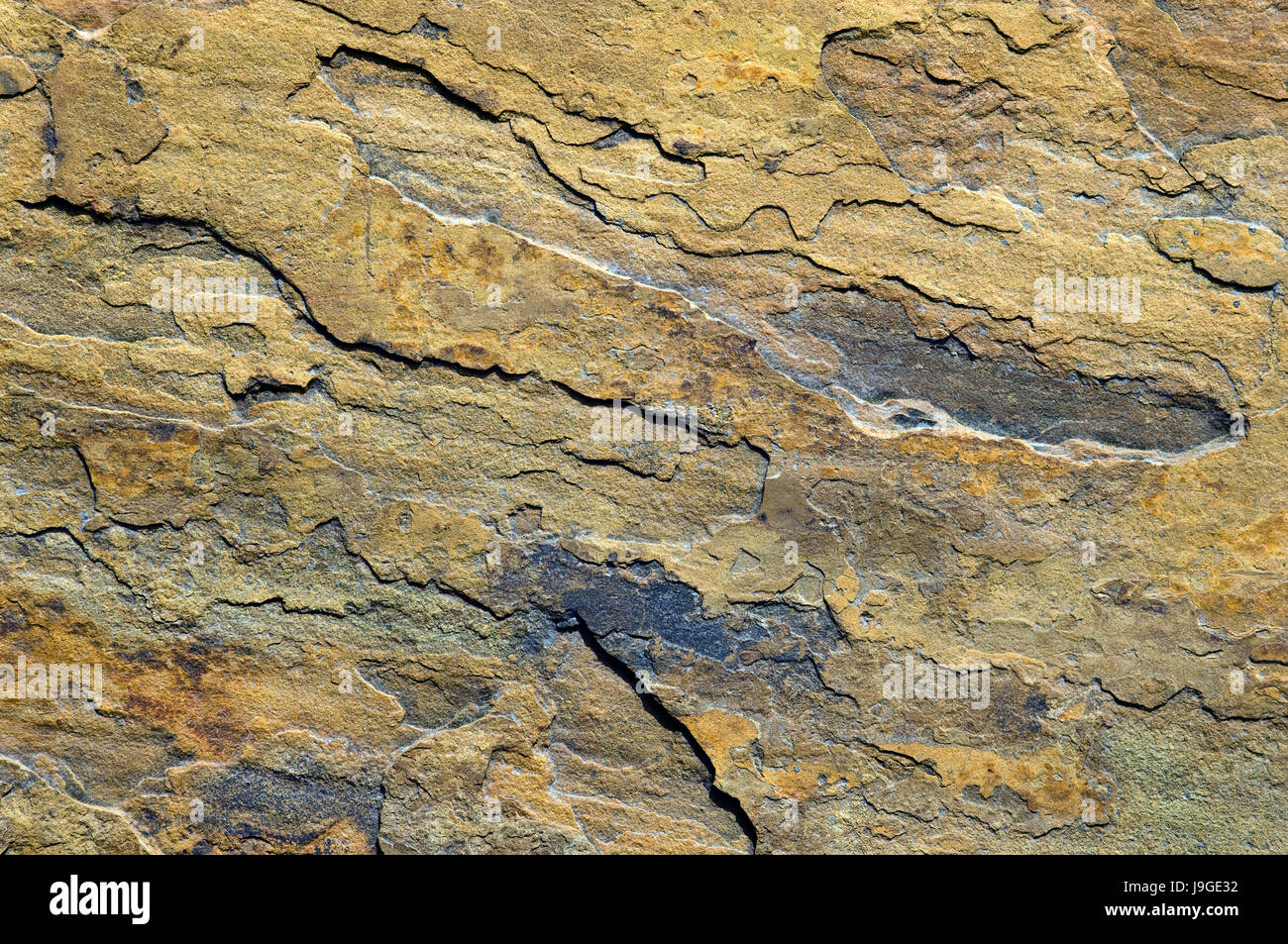 Natural Science, Structure of surface of the stone Stock Photo - Alamy