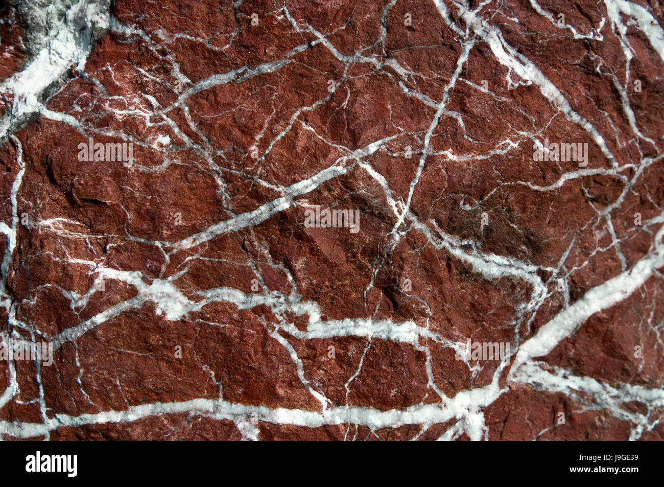 Natural Science, Structure of surface of the stone Stock Photo - Alamy