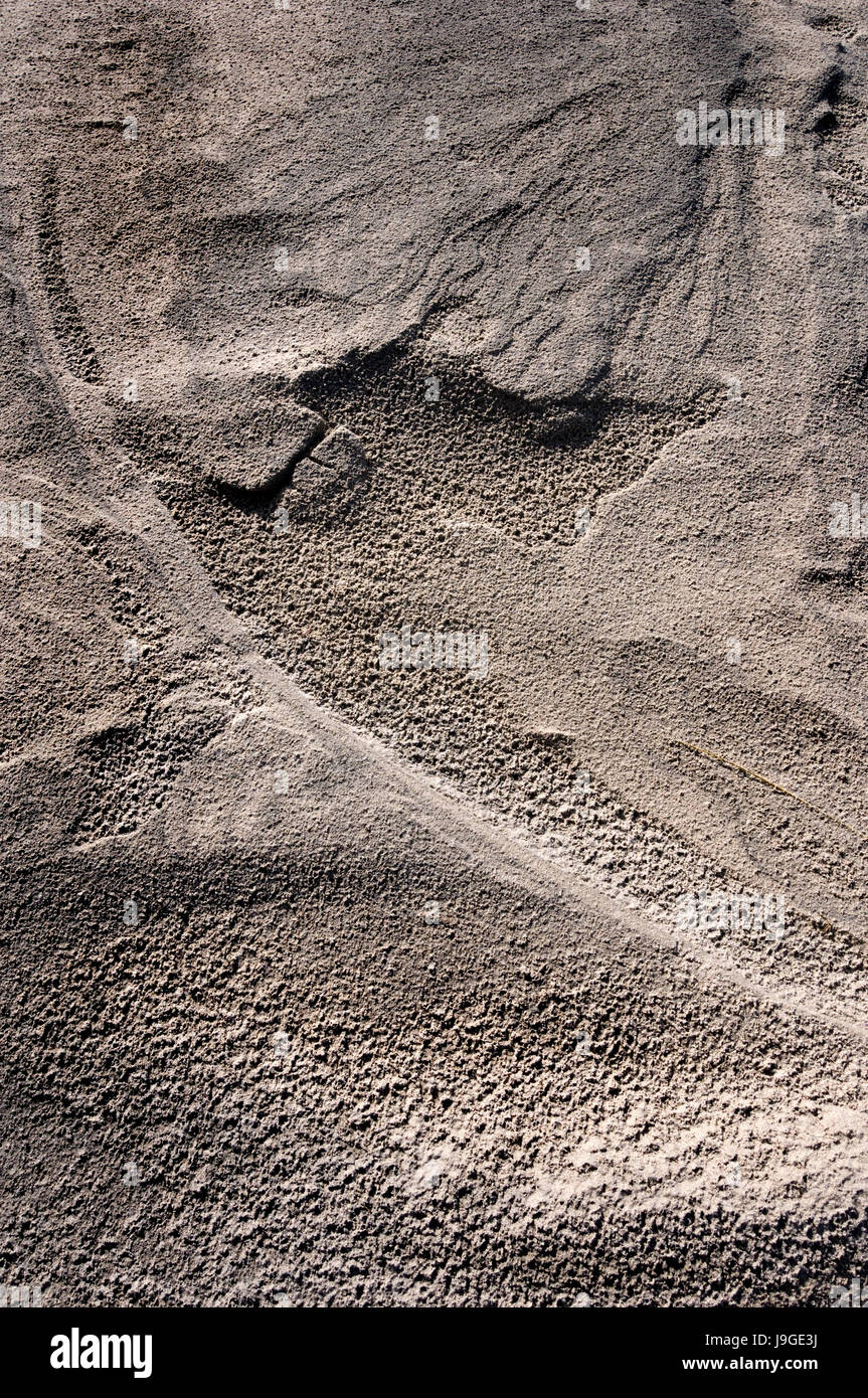 Natural Science, Composition of sand on beach and in dunes Stock Photo ...