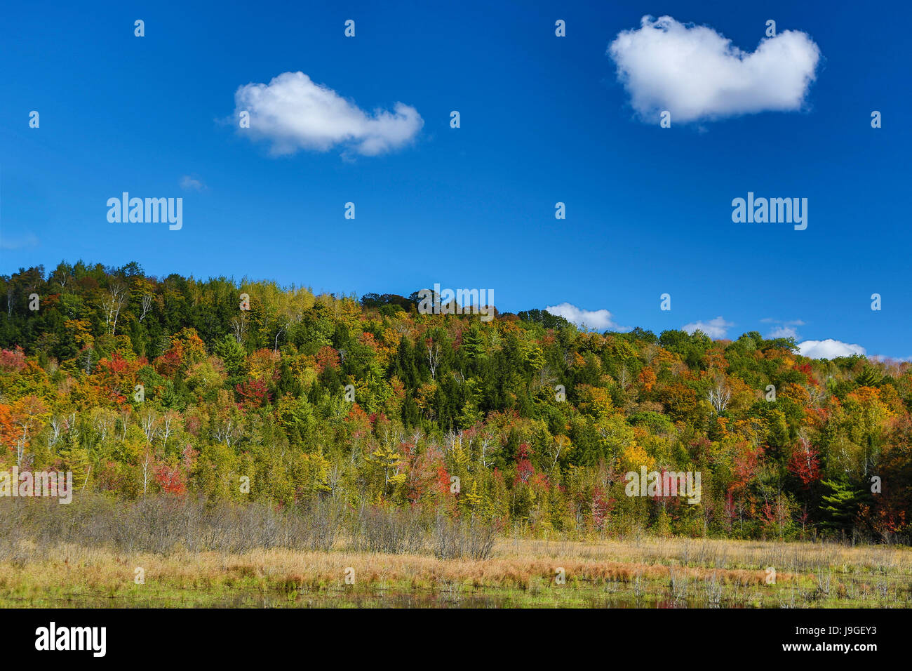 _colors hi-res stock photography and images - Alamy