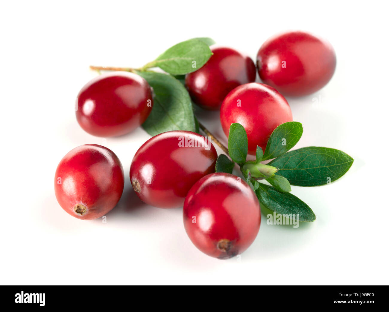 Bounceberries hi-res stock photography and images - Alamy
