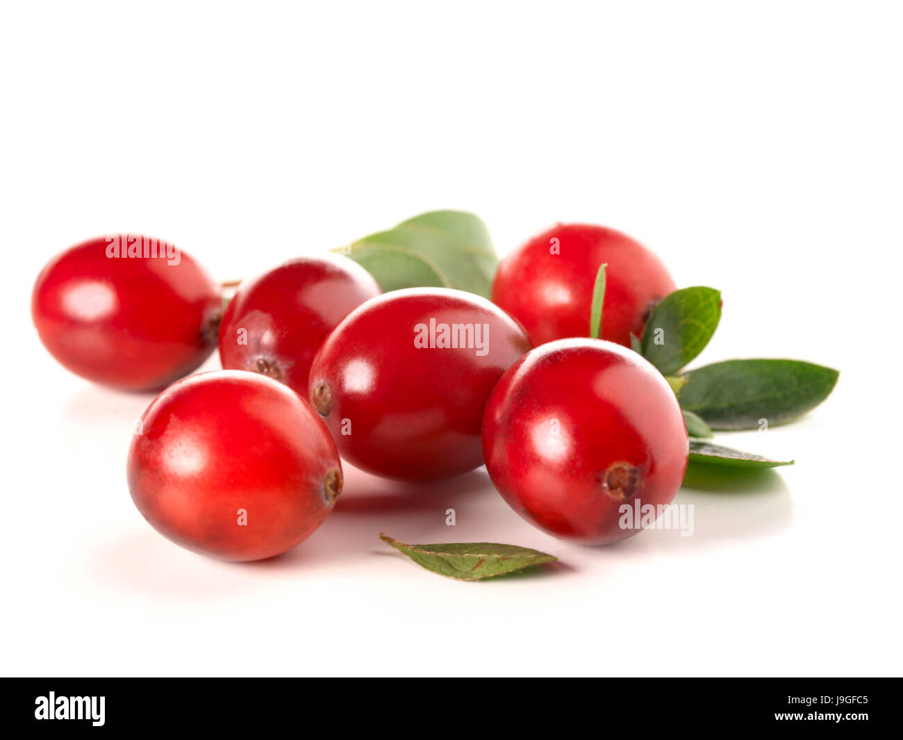 Bounceberries hi-res stock photography and images - Alamy