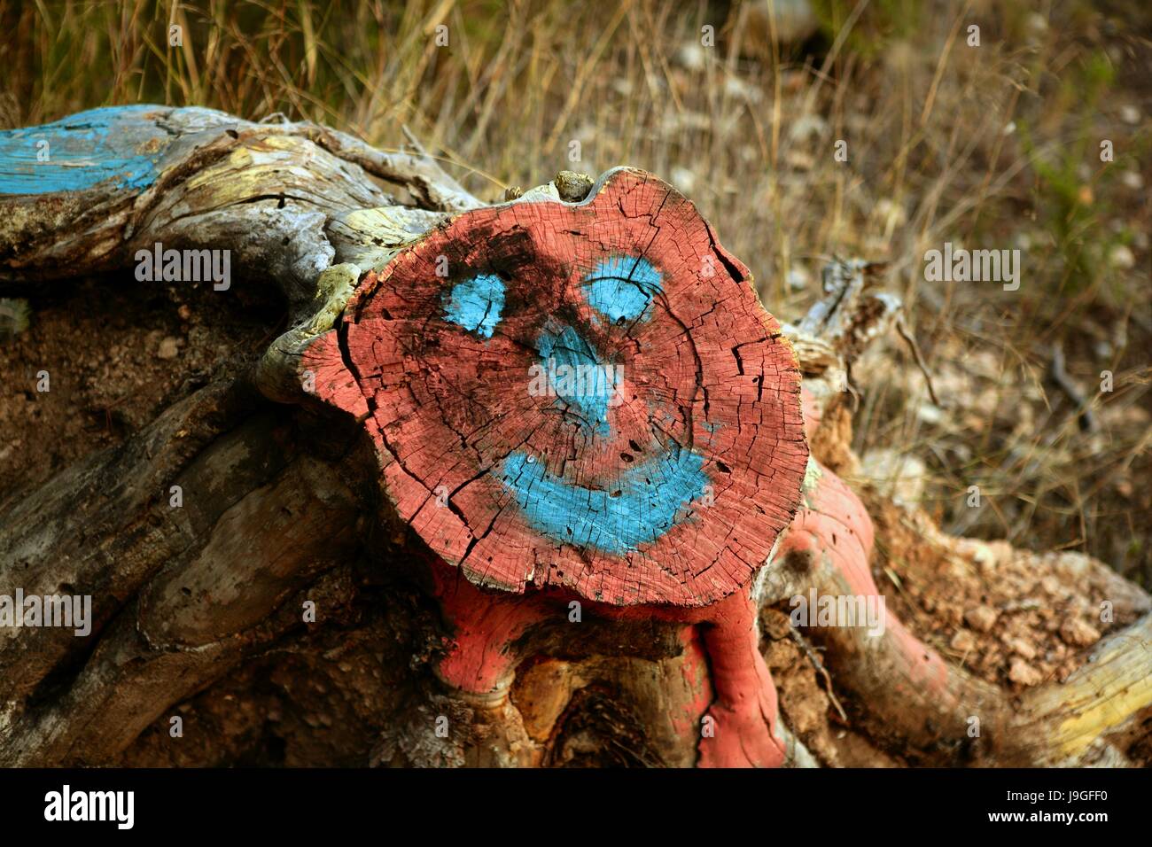 blue, laugh, laughs, laughing, twit, giggle, smile, smiling, laughter ...