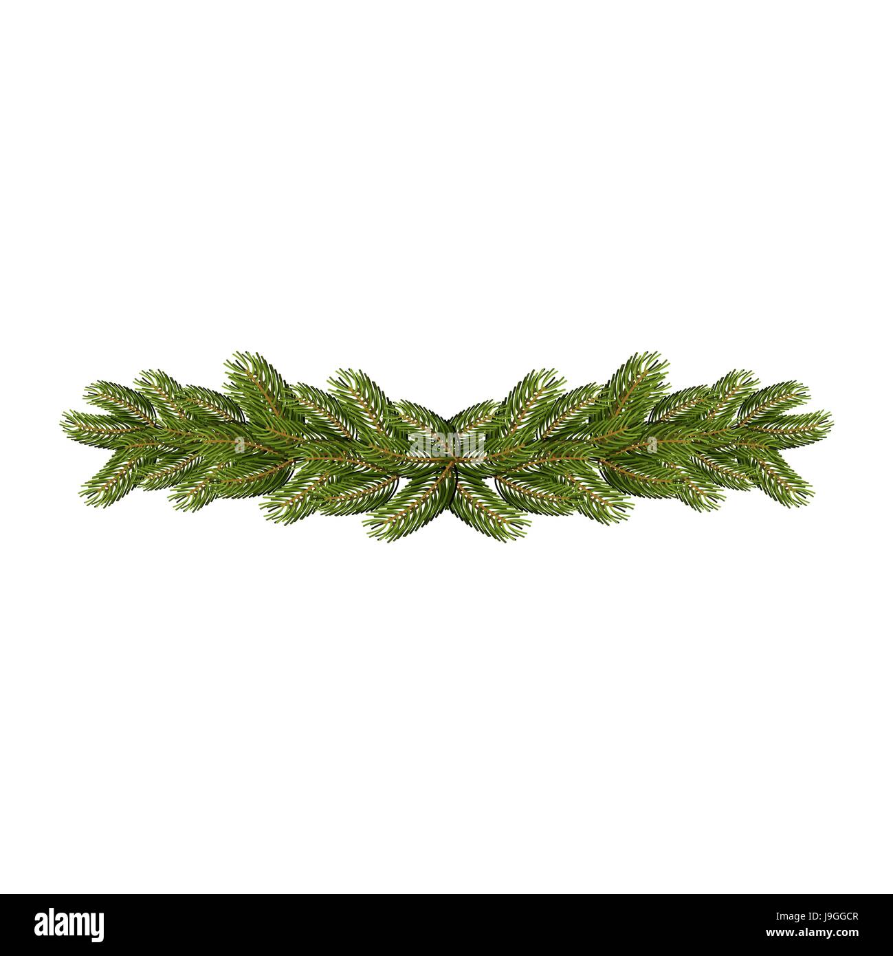 Spruce branches fresh green Stock Vector Images - Alamy