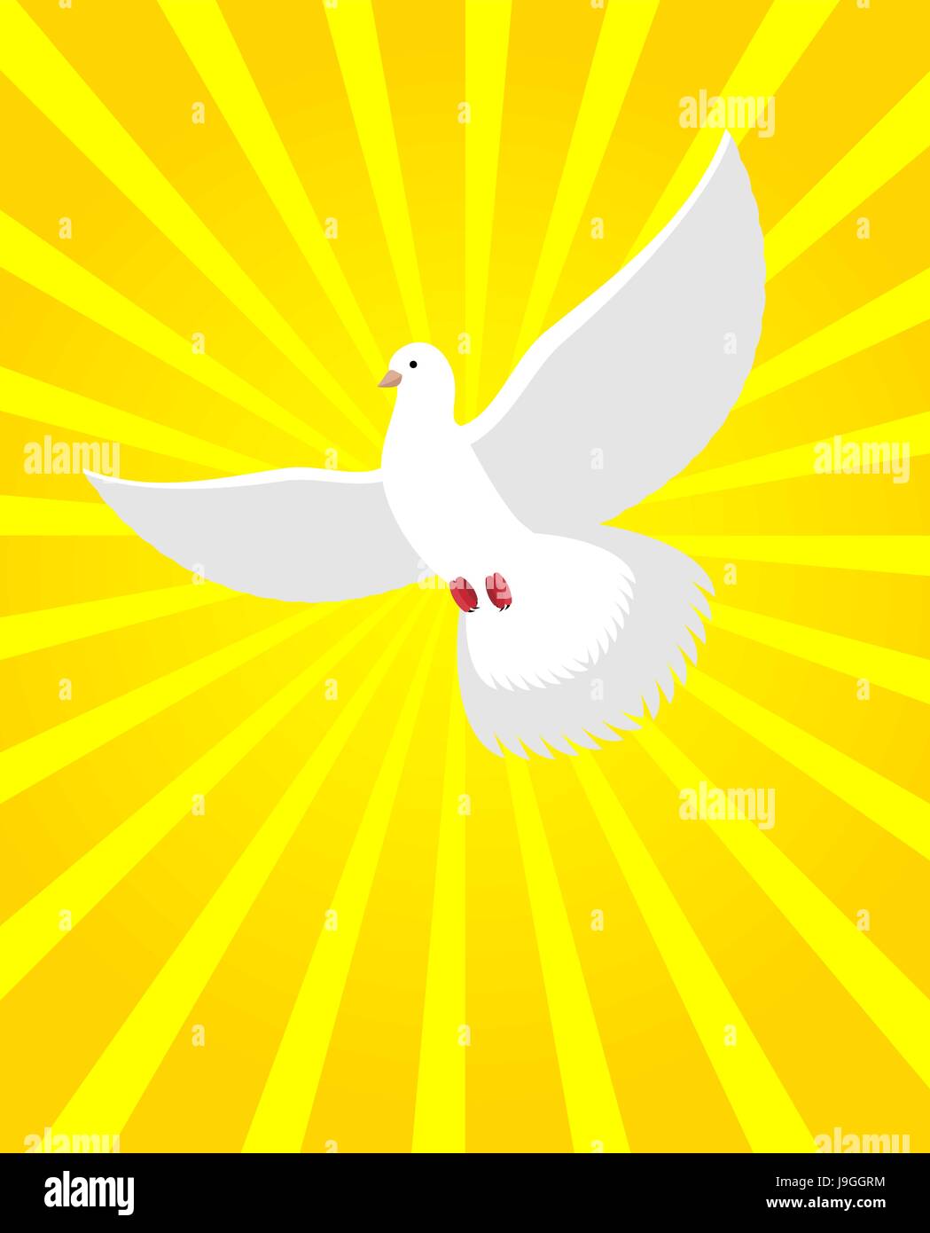 White Dove in sunny radiance. Divine light and white bird. White flying ...