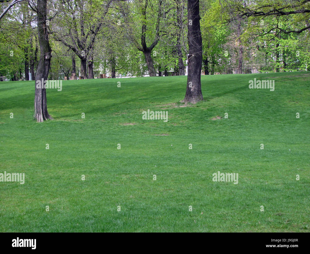 Green grass and water wheel hi-res stock photography and images - Alamy