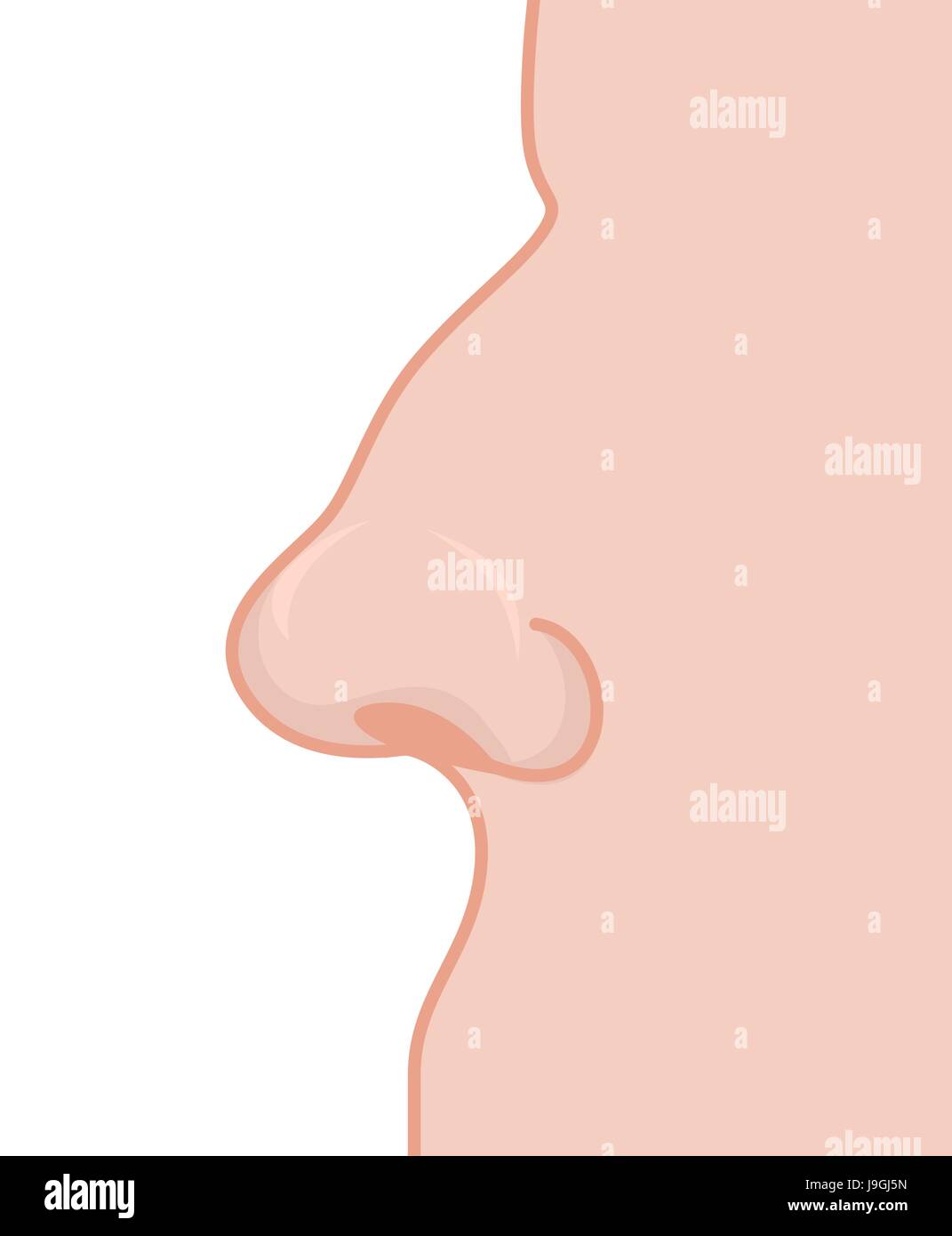 Human Nose Profile