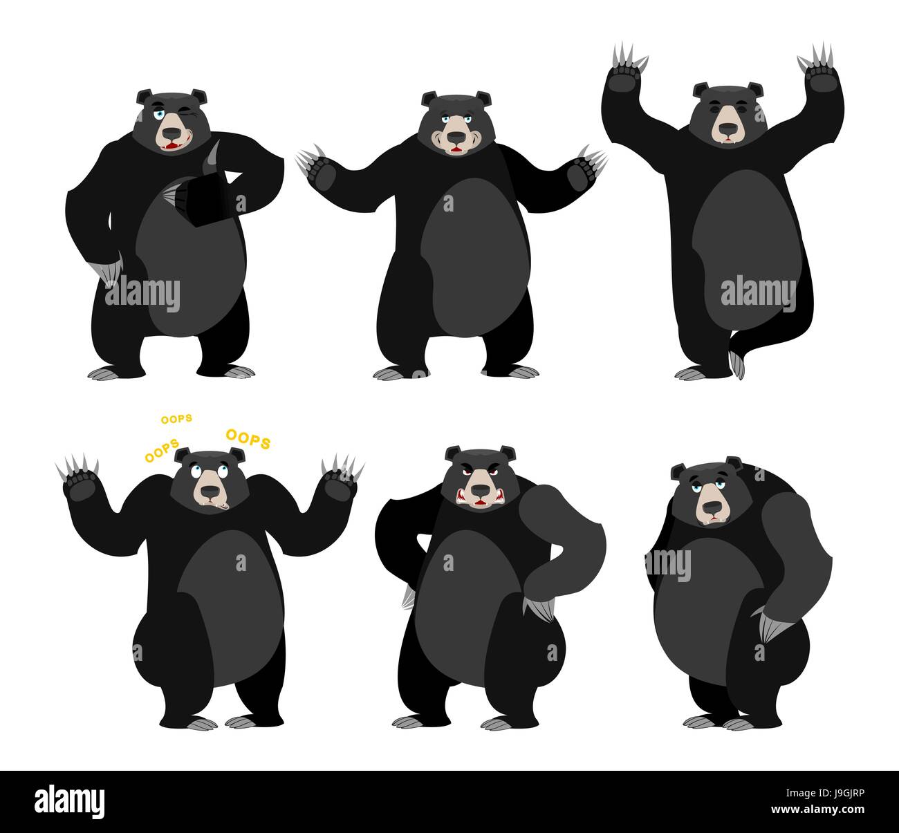 Baribal American black bear set. Grizzly various poses. Expression of ...