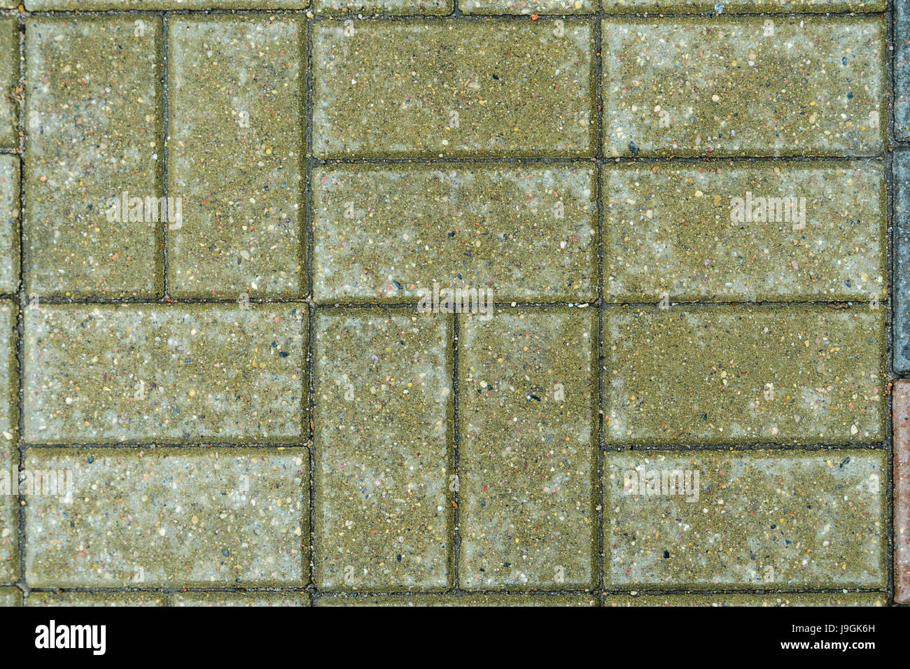 Green brick paving stones on a sidewalk. Abstract background texture ...