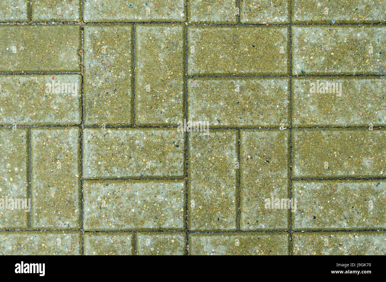 Green brick paving stones on a sidewalk. Abstract background texture ...