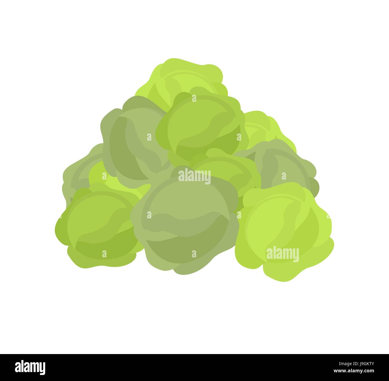 Kale cabbage salad on Stock Vector Images - Alamy