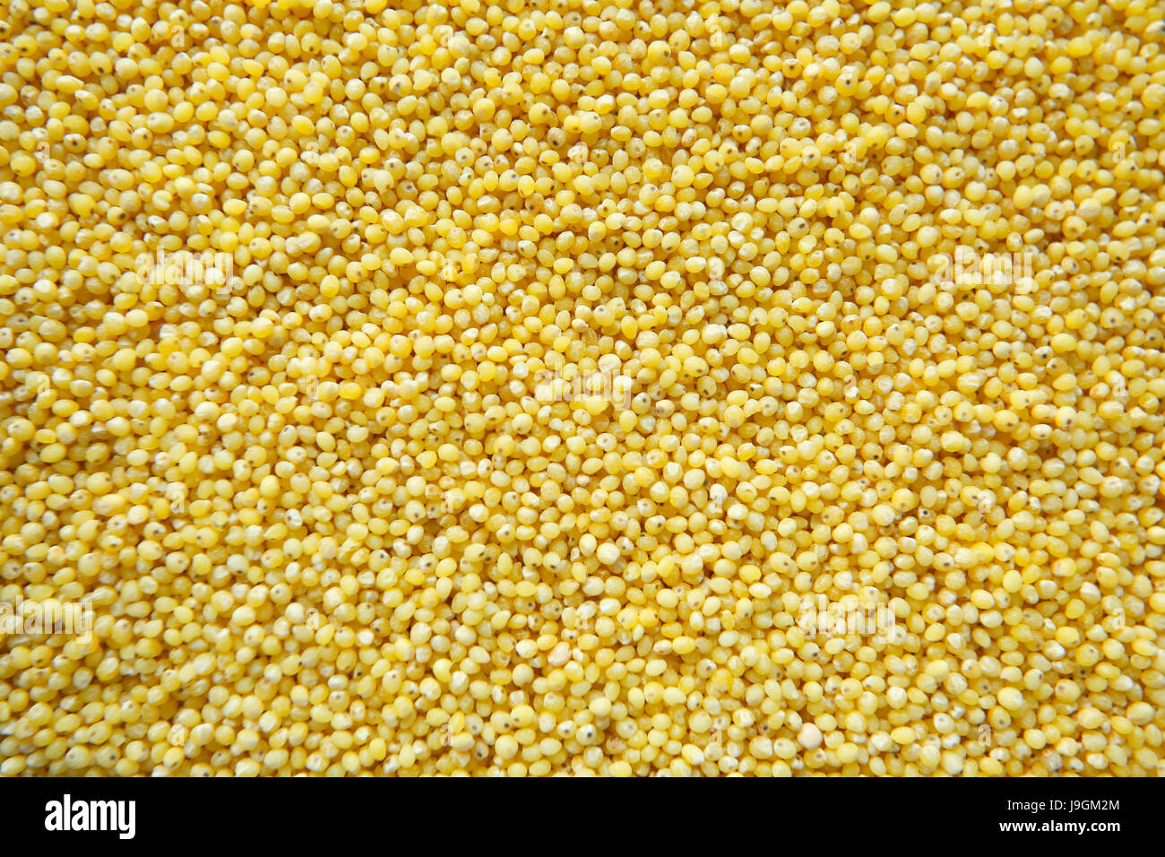 Food: Millet seeds Stock Photo - Alamy