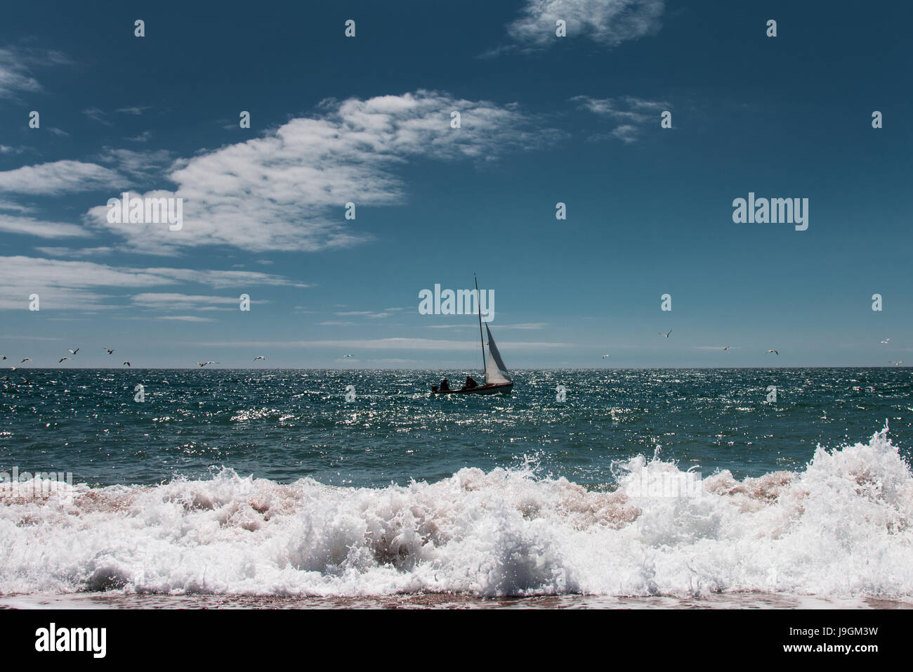 Sailing Boat in Sea Stock Photo - Alamy