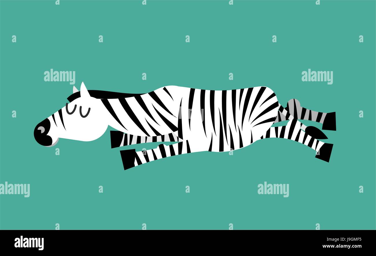 Sleeping zebra. Animal sleeps. Sleepy wild beast Stock Vector Image ...