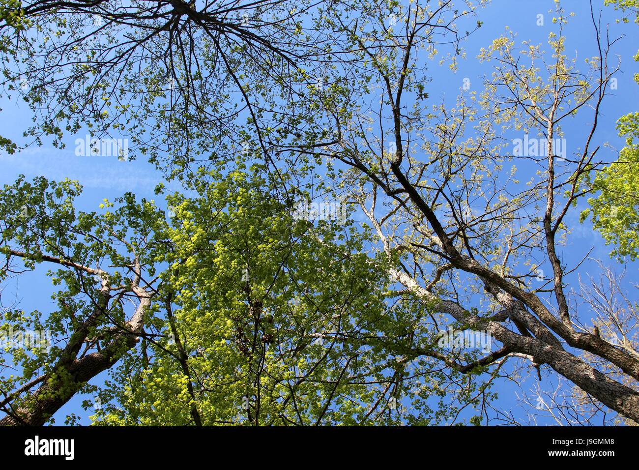 A day in the outdoors enjoy the trails and at the lake. Enjoying being ...