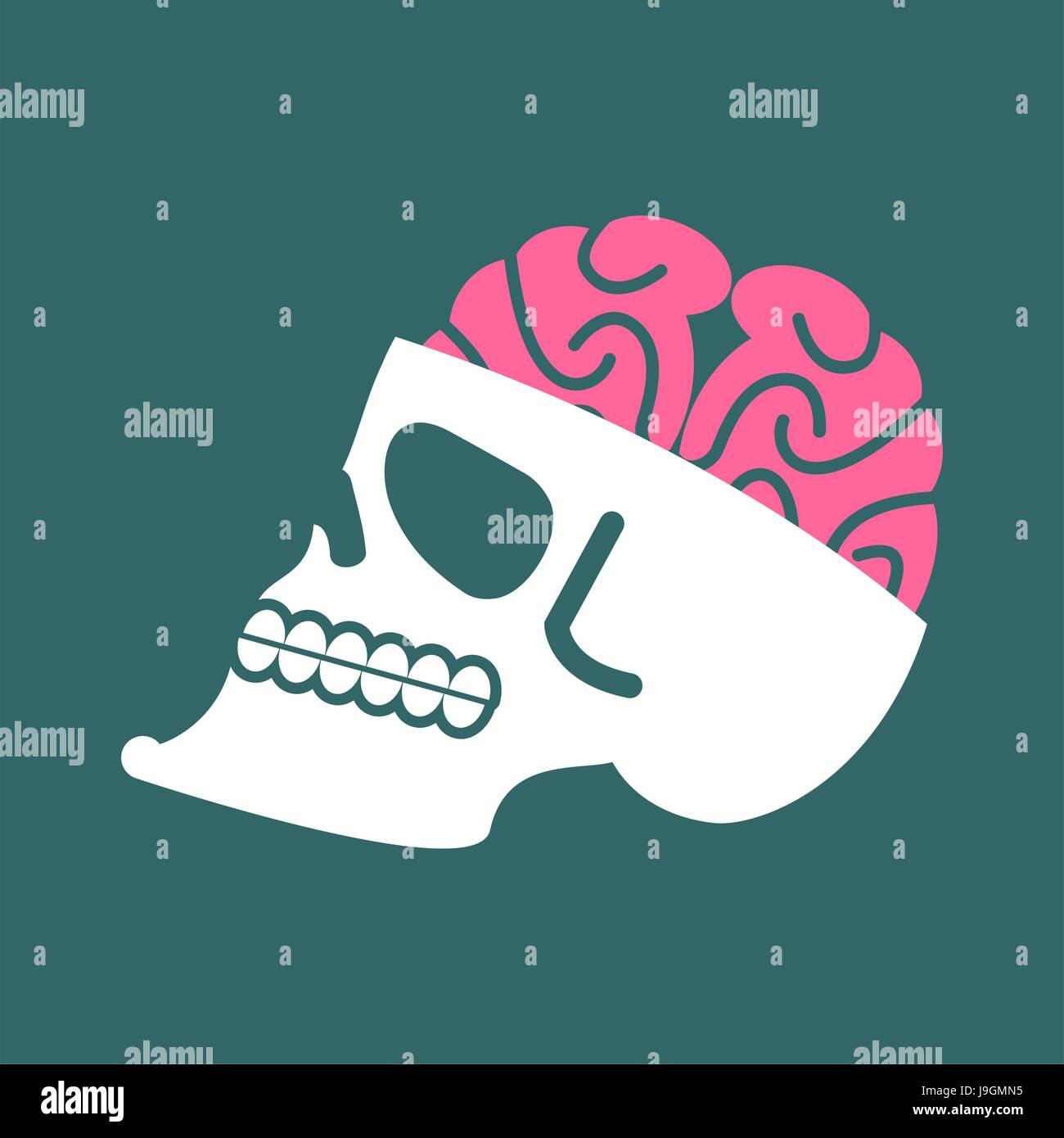 Skull with brains isolated. head of human skeleton and brain. Anatomy ...