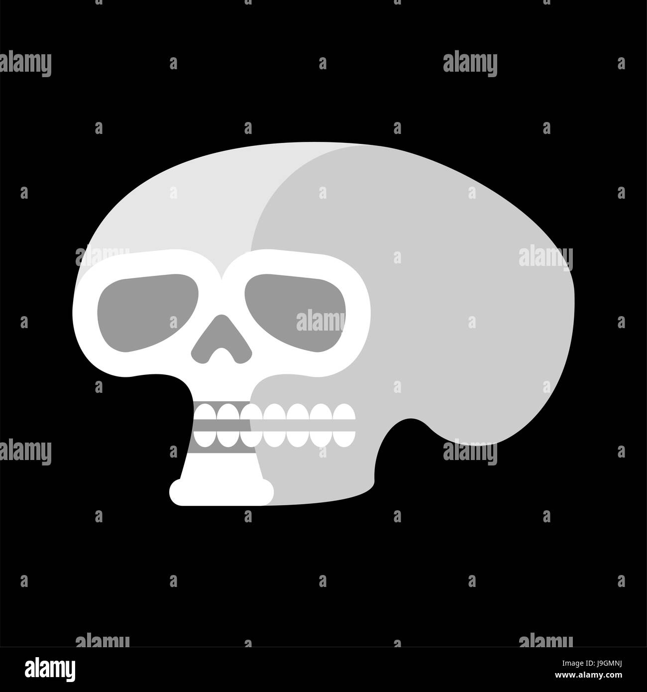 Skull isolated. head of human skeleton. Anatomy illustration Stock ...