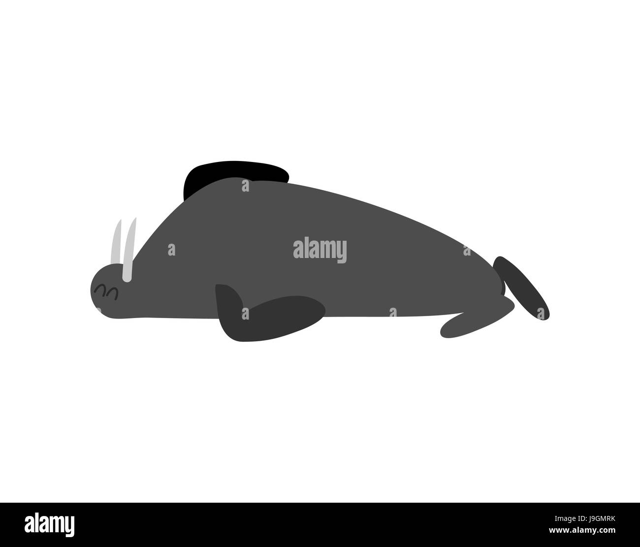 Arctic pacific Cut Out Stock Images & Pictures - Alamy