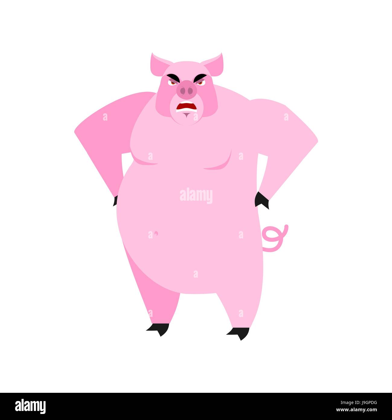 Angry razorback wild pig hog hi-res stock photography and images - Alamy