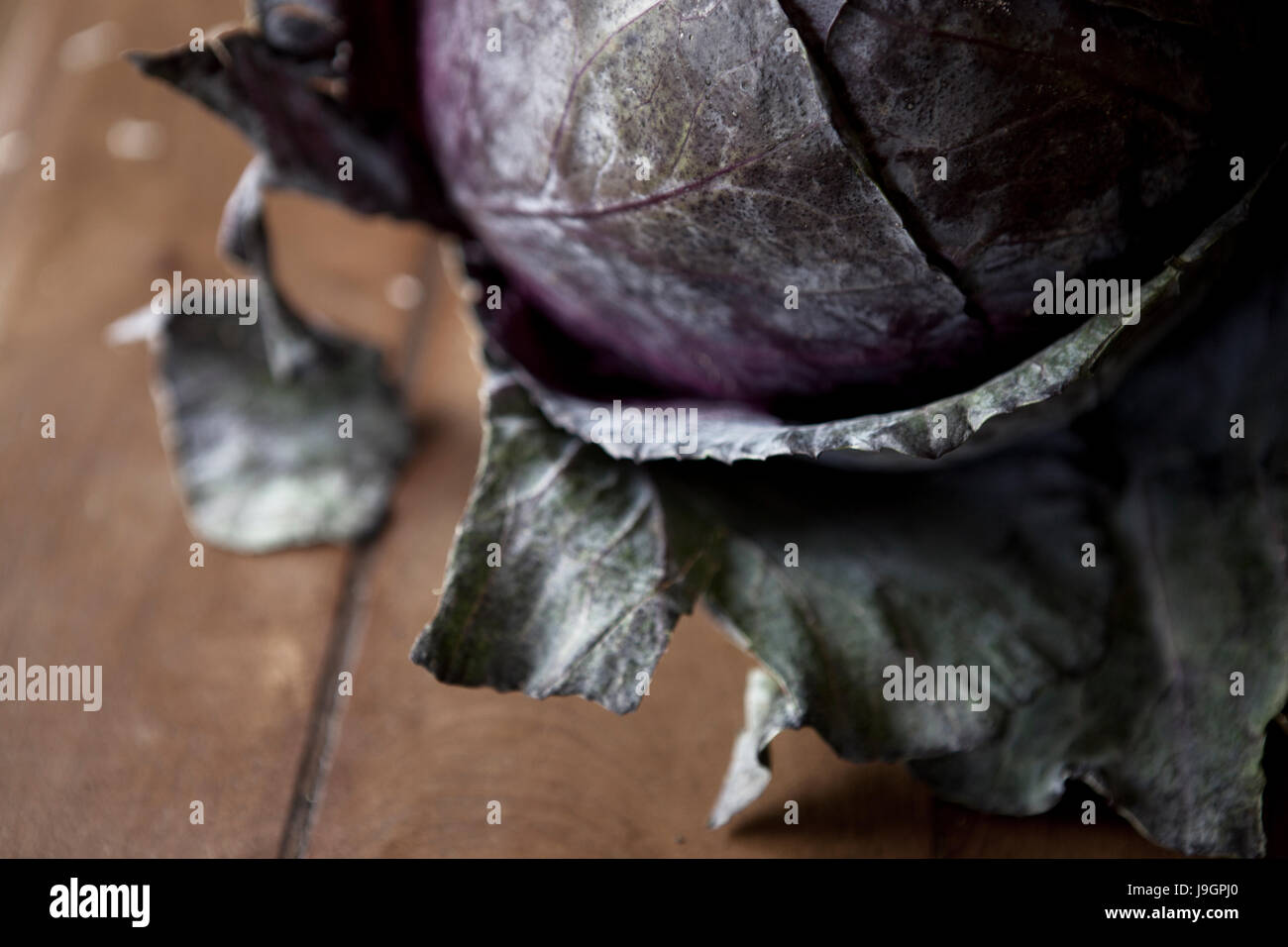 Flor de naranjo hi-res stock photography and images - Alamy