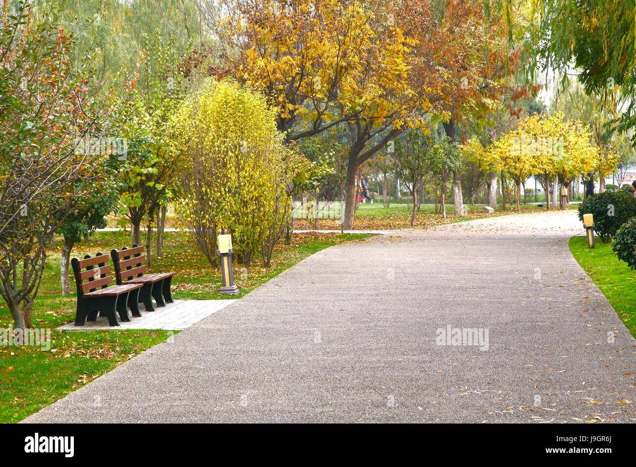 the beautiful autumn in xian city ,china Stock Photo - Alamy