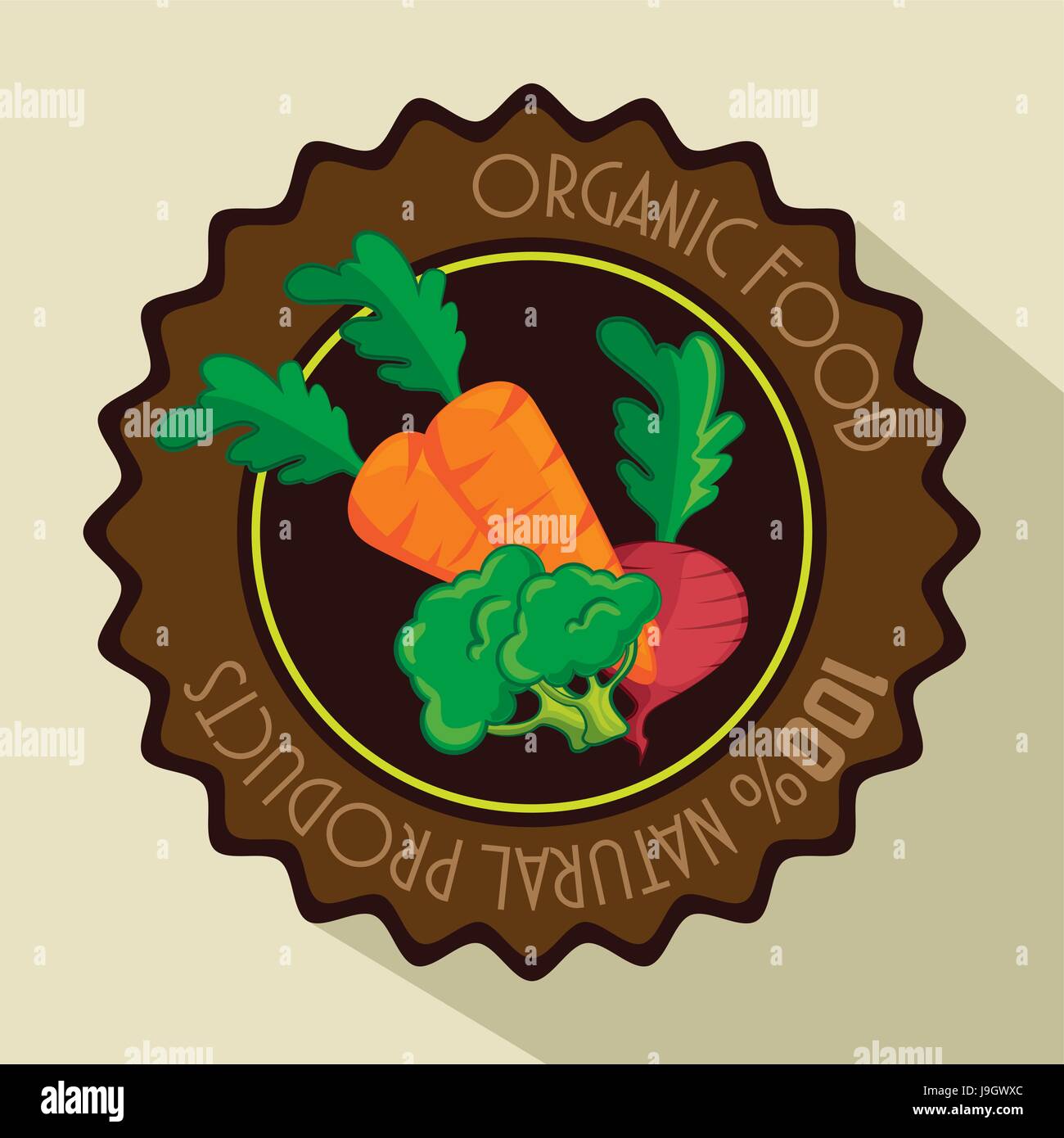 Harvest organic turnip Stock Vector Images - Alamy