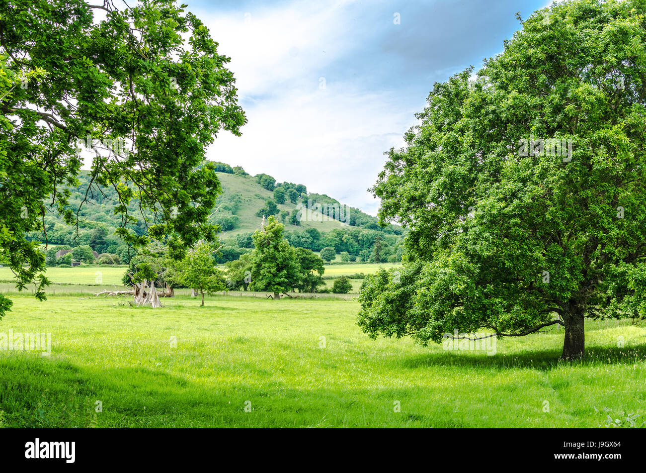 Sussex countryside farm hi-res stock photography and images - Alamy