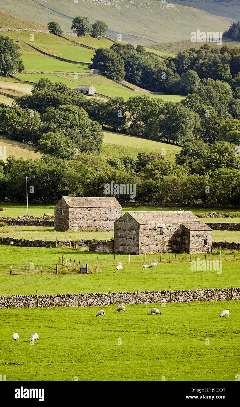 Cattle barns hi-res stock photography and images - Alamy