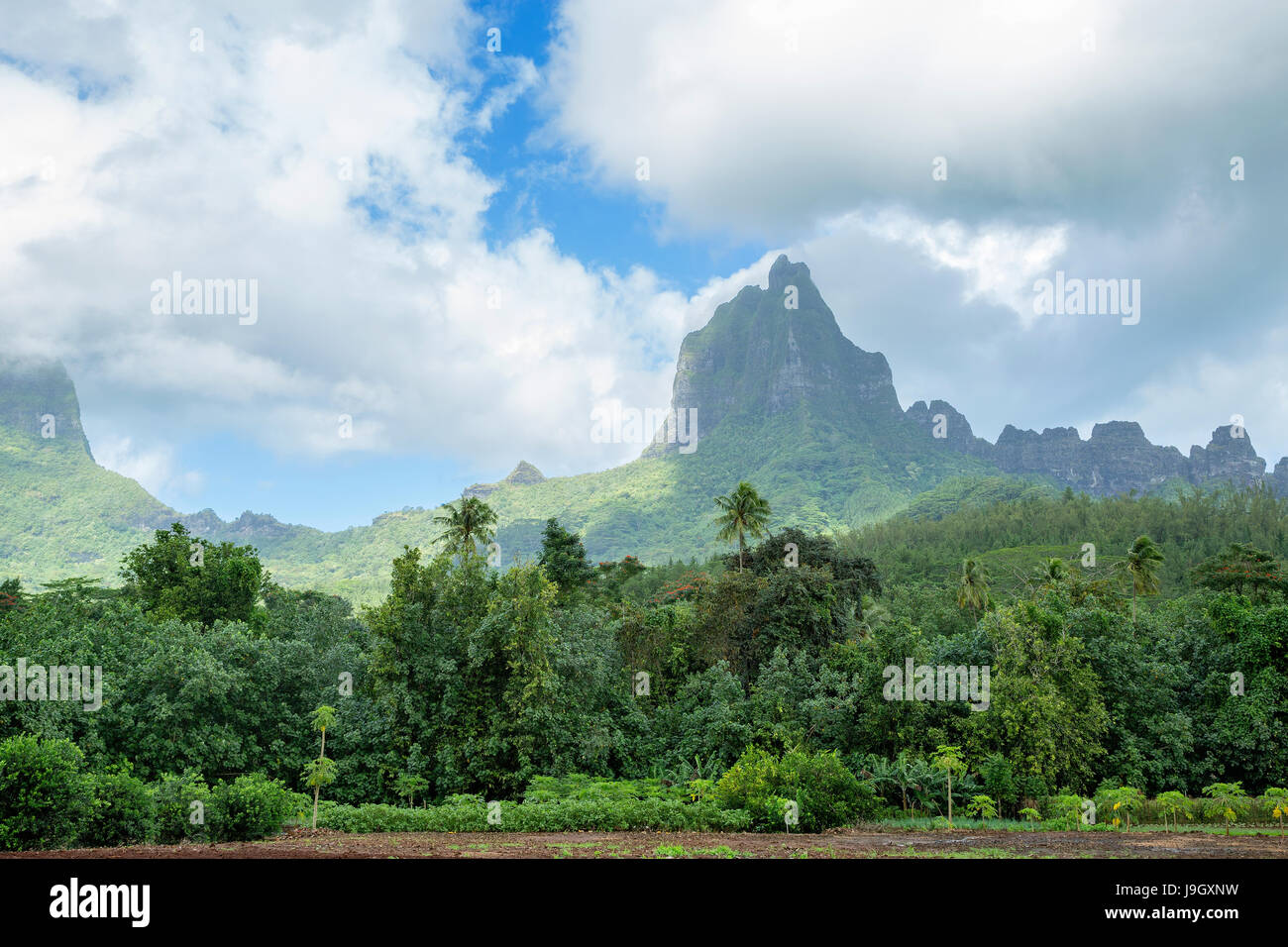 View of Mount Rotui on Moorea island in French Polynesia Stock Photo ...