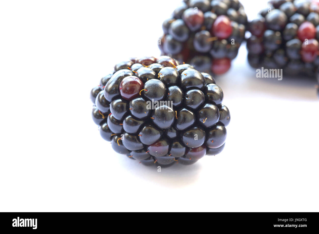 Blackberries on a white background. Closeup Stock Photo - Alamy